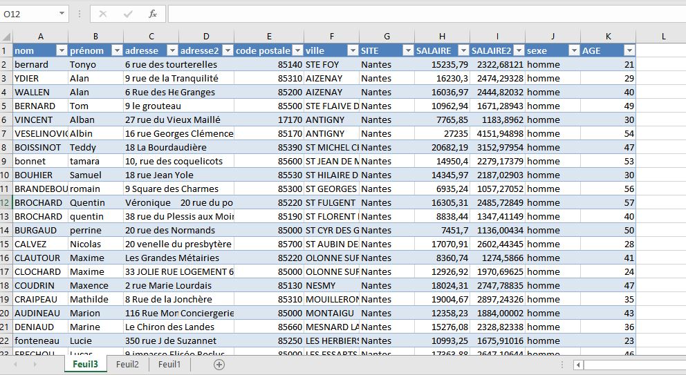 Comment réaliser des Tableaux Croisés Dynamiques et segmentations sur ...